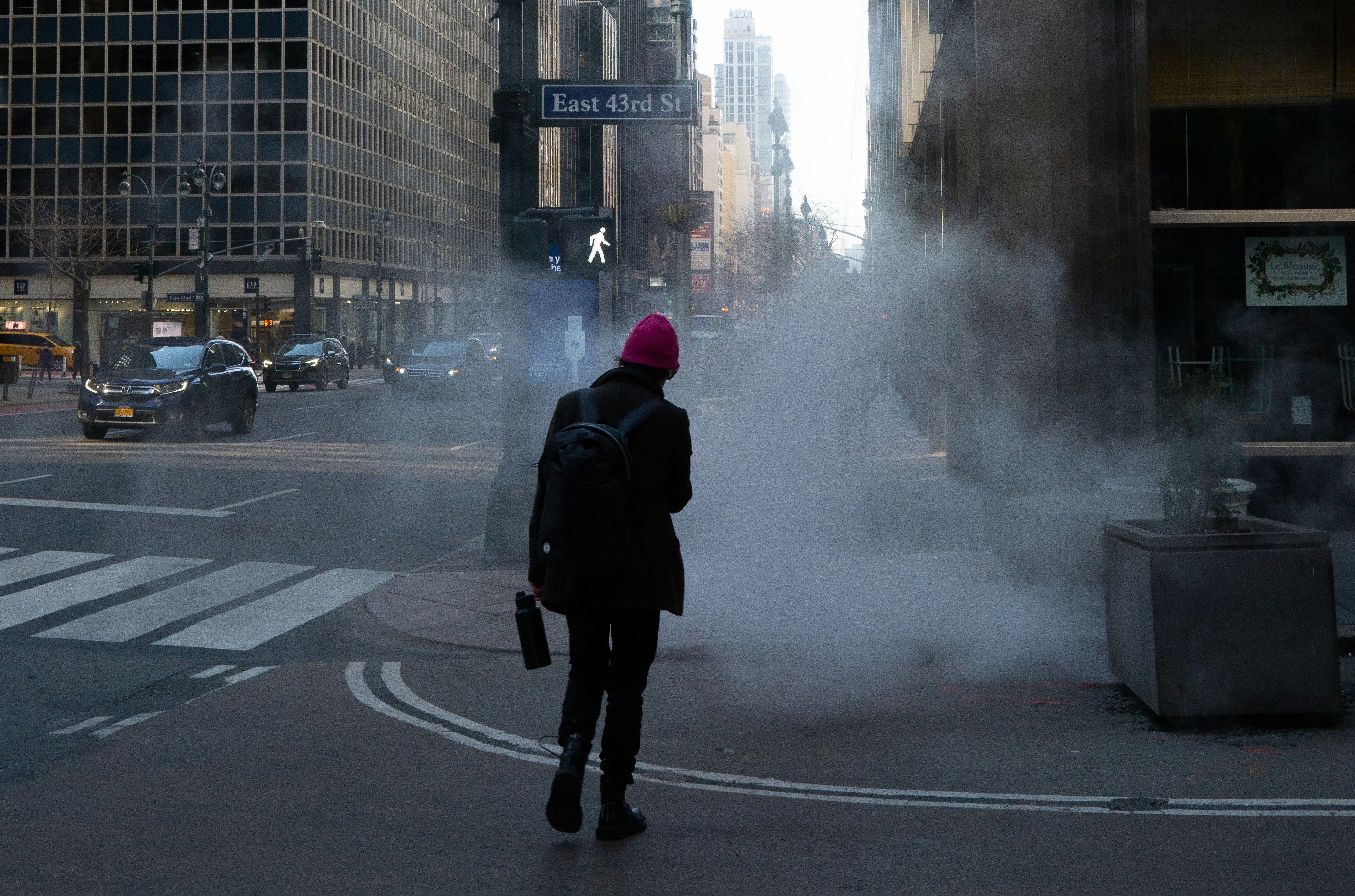 Air Pollution Exposure Impairs Brain and Lung Functions in One Hour ...